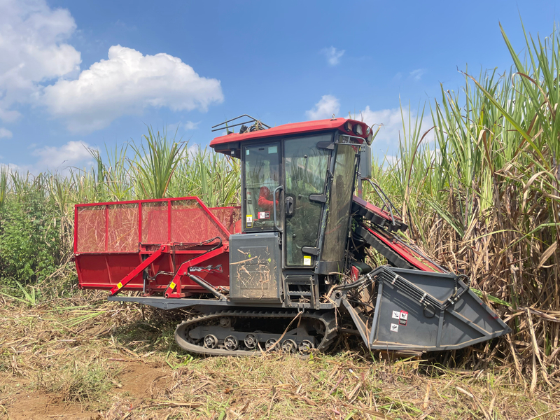 FMWORLD Sugarcane Harvester-4GD-1 | FMWORLD Agricultural Machinery